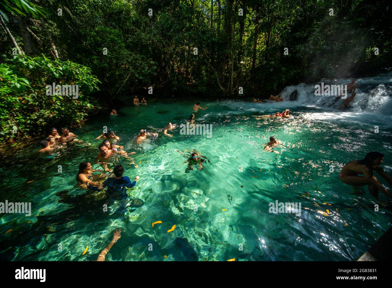 Cachoeira do formiga hi-res stock photography and images - Alamy