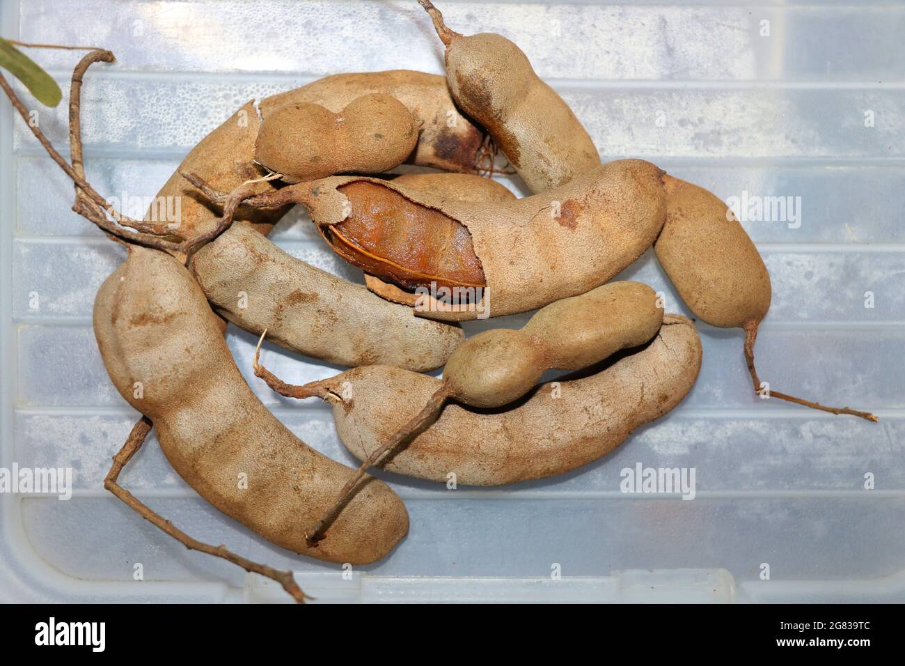 Sweet Tamarind fruit Stock Photo - Alamy