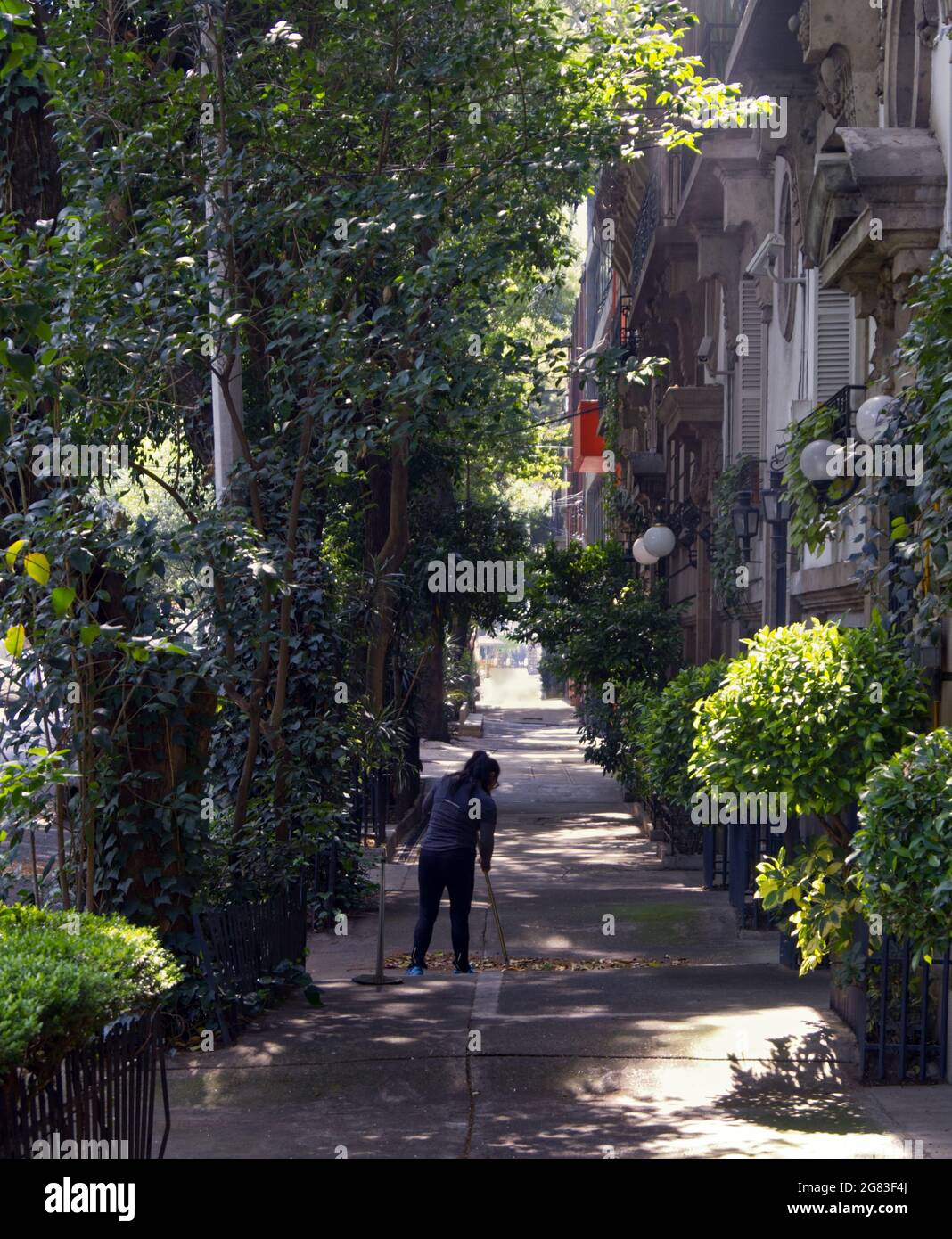 Roma neighborhood in mexico city hi-res stock photography and images ...