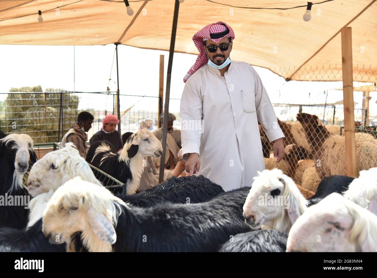 Riyadh, Saudi Arabia. 16th July, 2021. A vendor counts his sheep at a ...