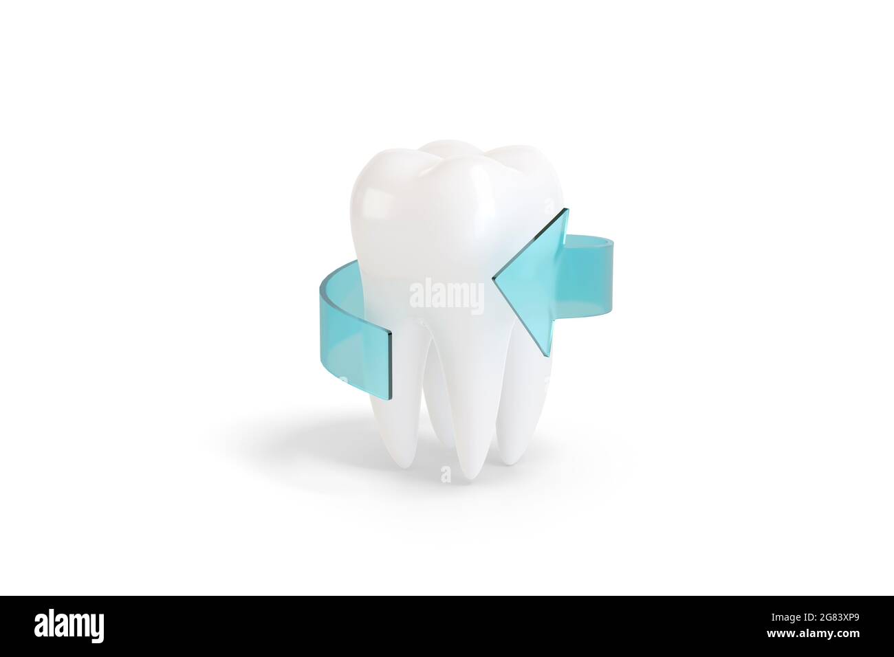 Molar tooth with blue arrow surrounding it isolated on white background ...