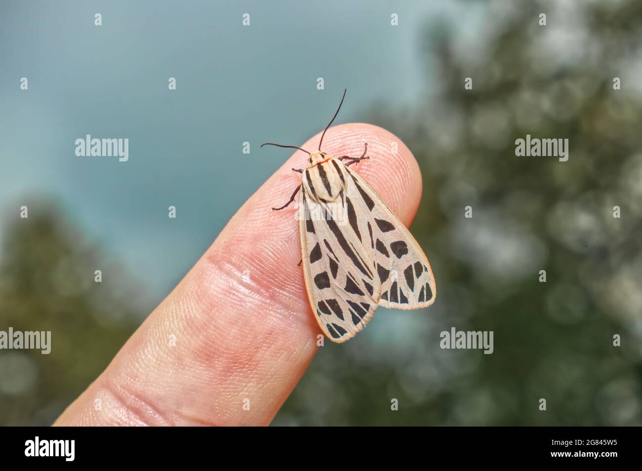 Human natural interaction hi-res stock photography and images - Alamy