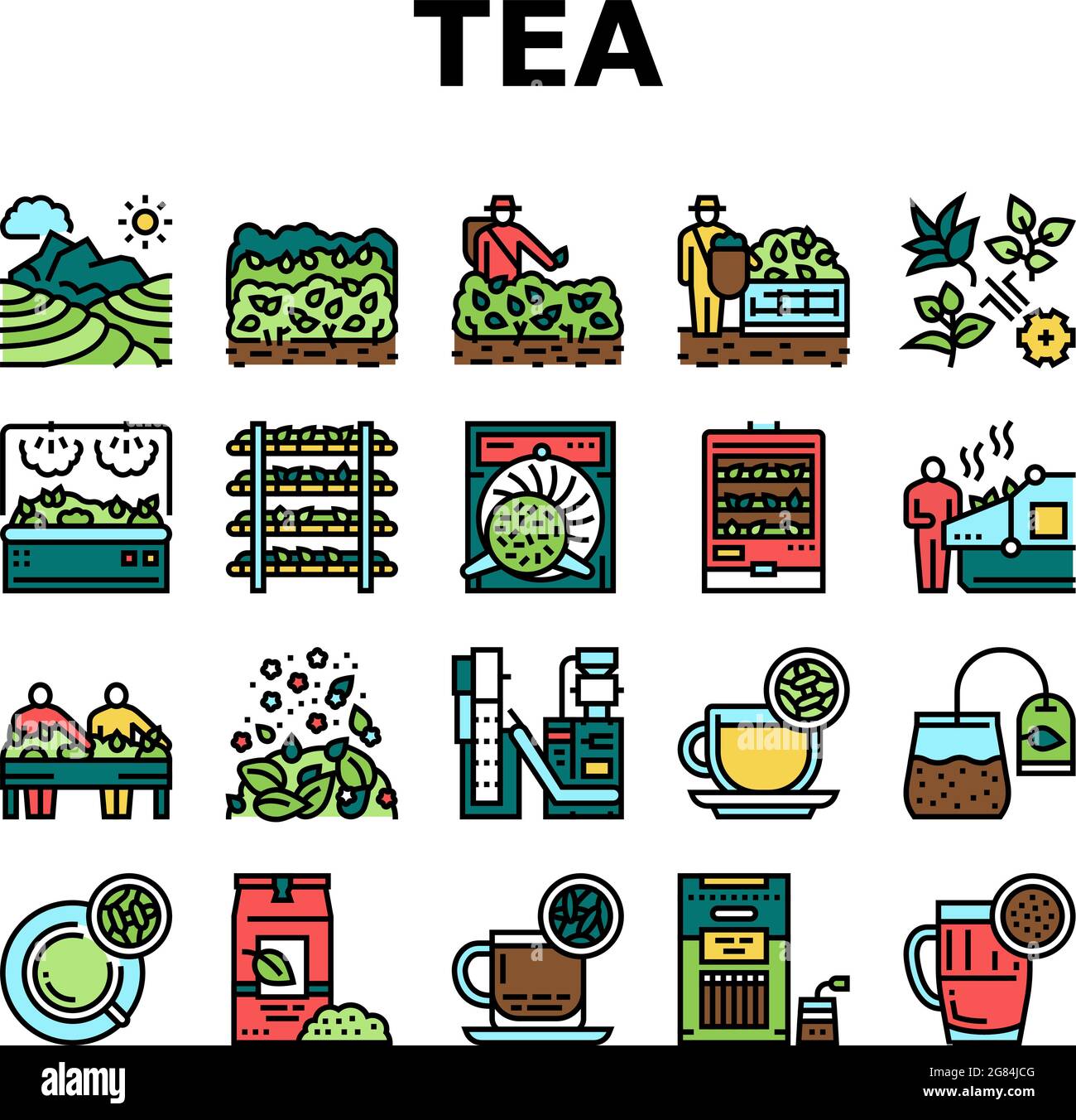 Tea Drink Production Collection Icons Set Vector Stock Vector Image ...