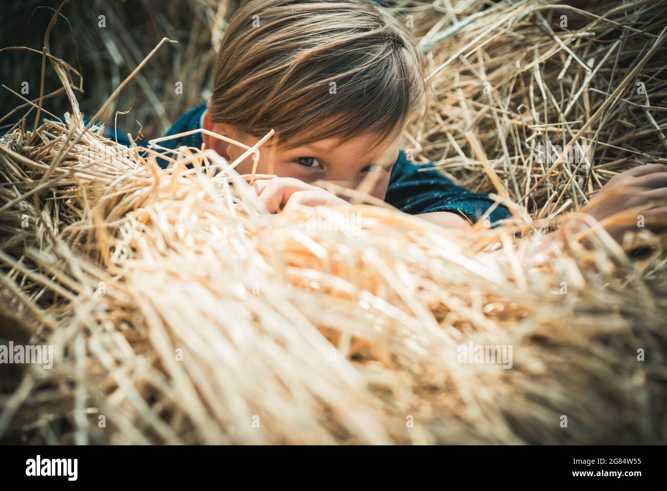 Kid boy lies on the hay. Cute little child boy holding gold leaf on ...