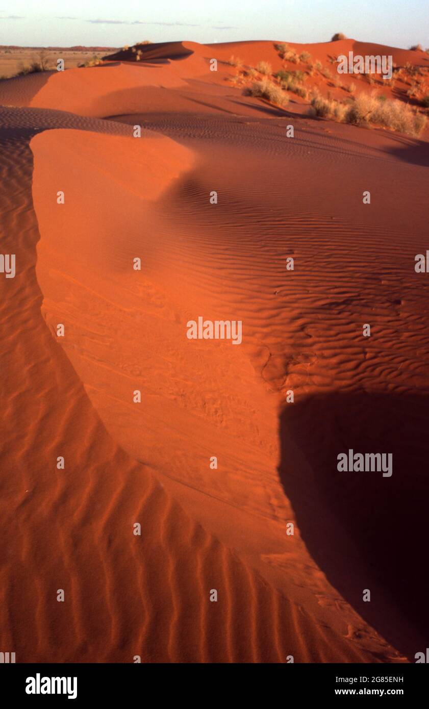 Simpson desert south australia hi-res stock photography and images - Alamy