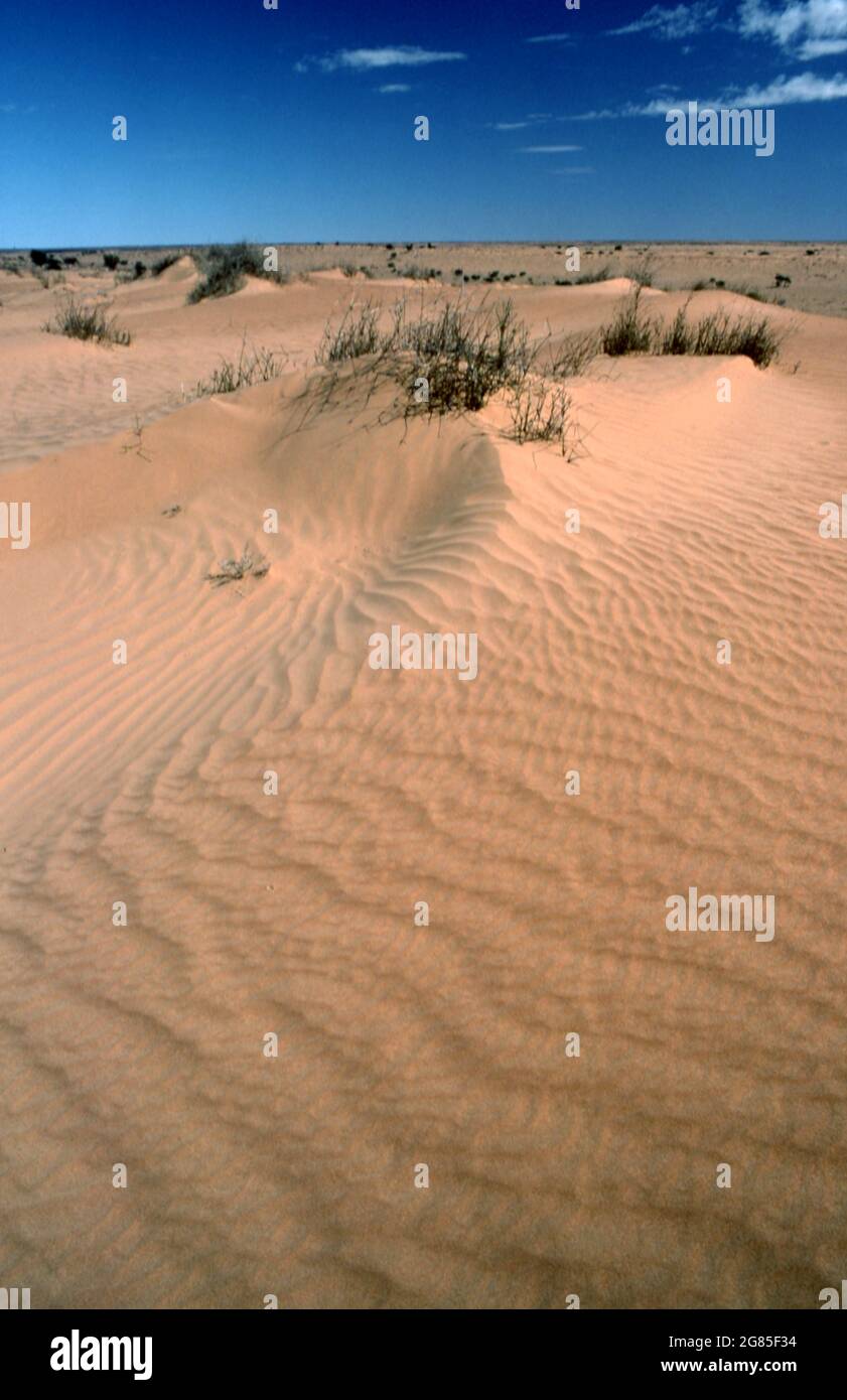 Simpson desert hi-res stock photography and images - Alamy