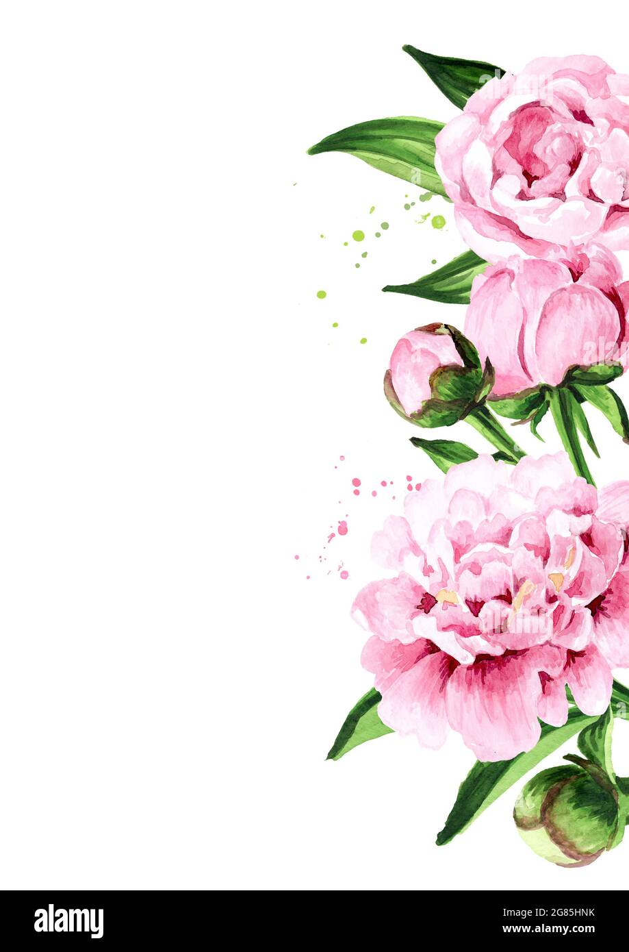Pink peony Flower border and card, Hand drawn watercolor illustration ...