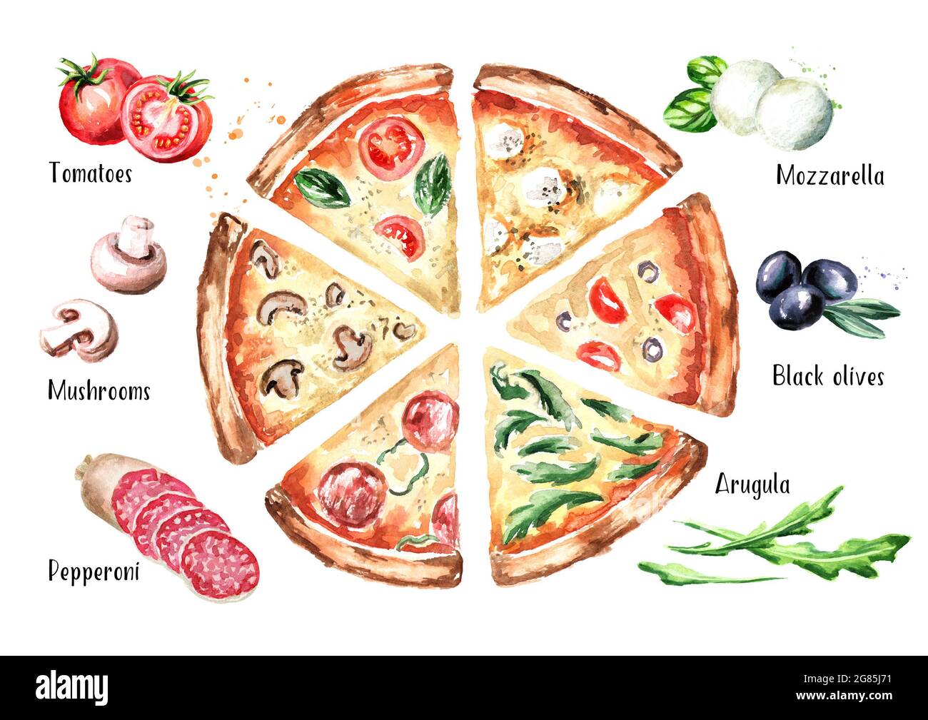 Slices of pizza with different toppings and ingradients, top view ...