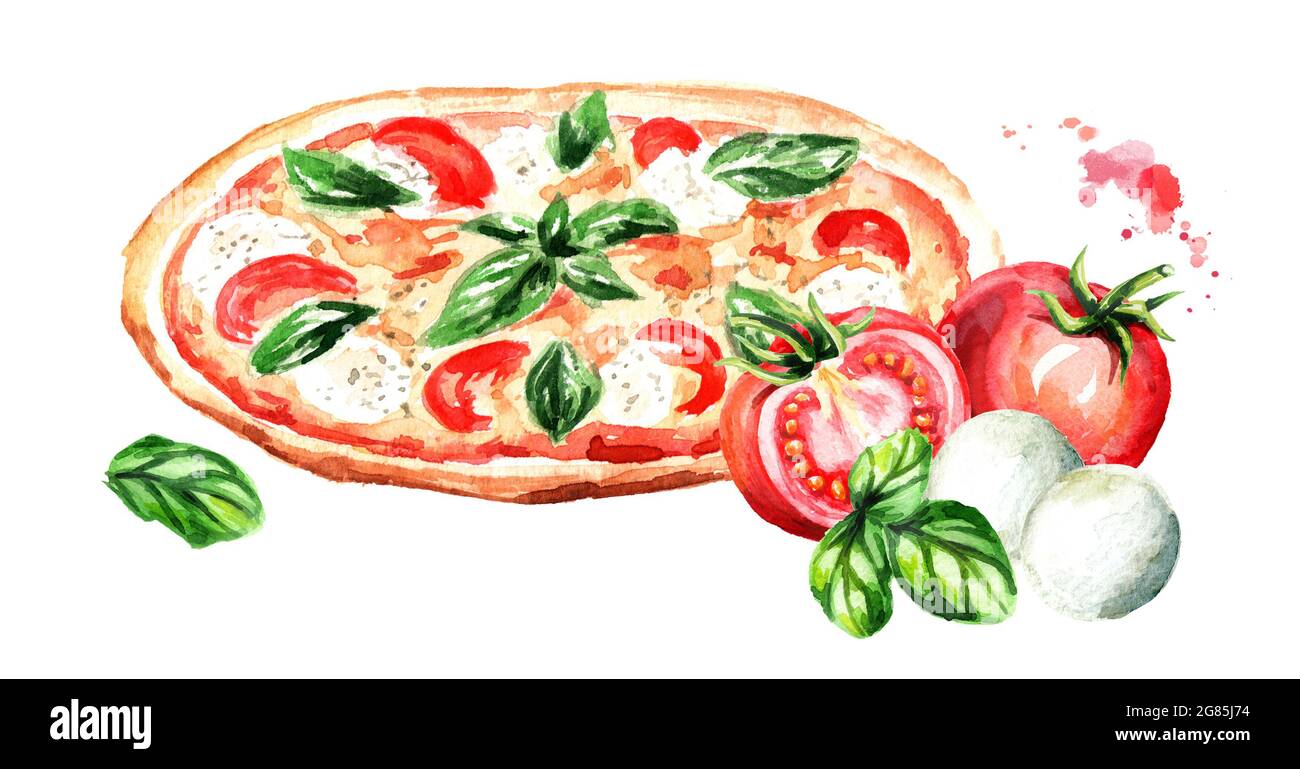 Pizza with tomatoes, mozzarella cheese and Basil leaves. Watercolor ...