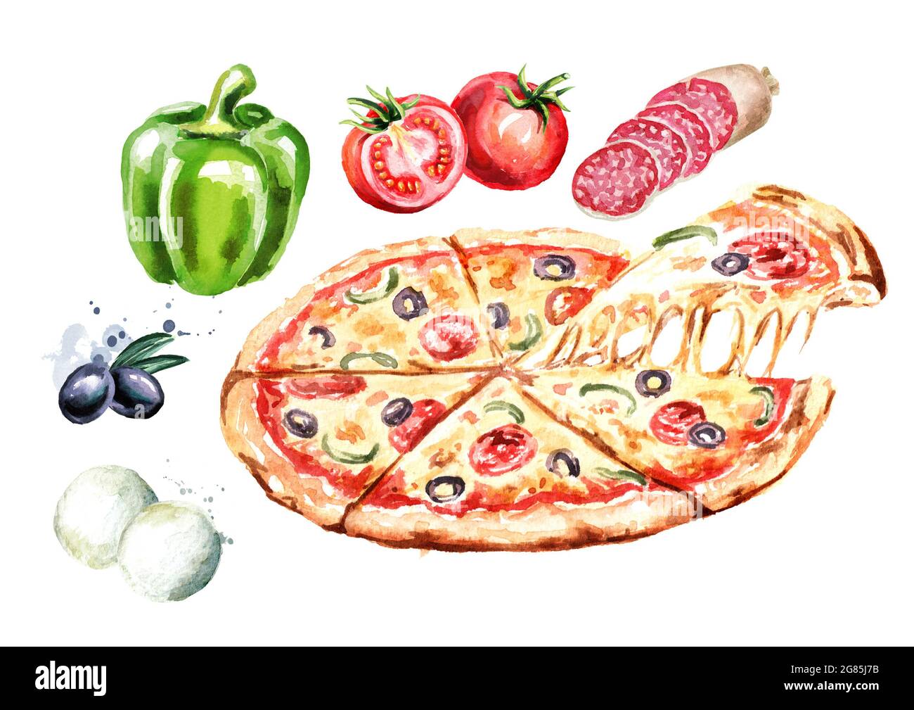 Pizza with tomatoes, bell pepper and olives. Watercolor hand drawn ...