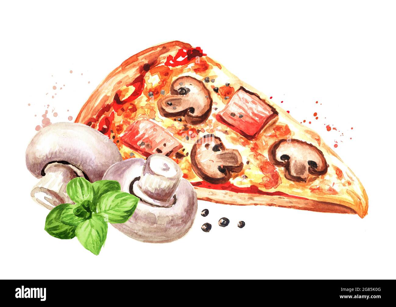Piece of Rustic pizza with ham, fresh mushrooms and oregano. Hand drawn ...