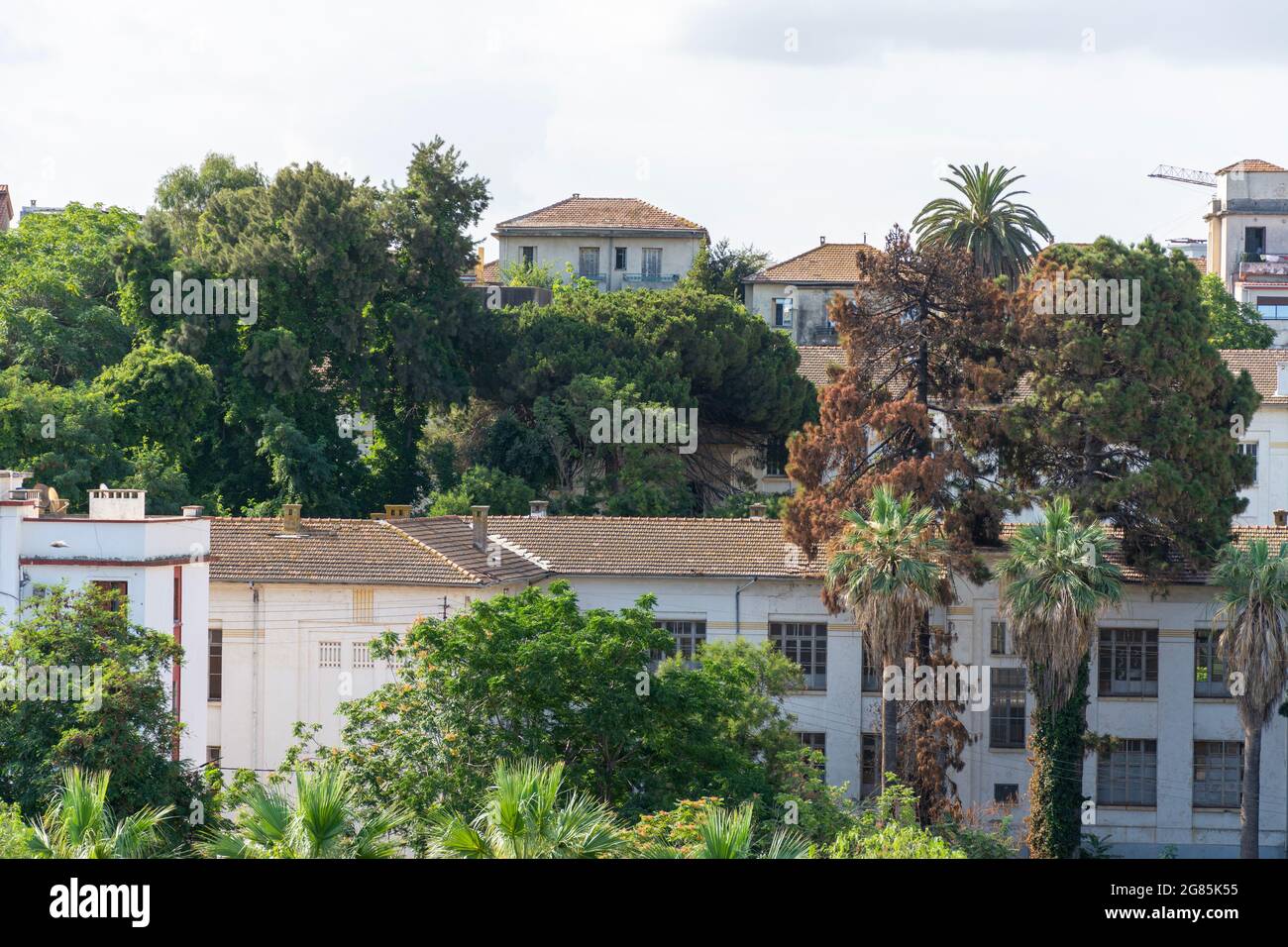 View of old buildings between trees Stock Photo - Alamy