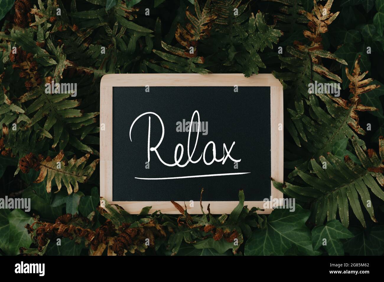 Chalkboard with the word RELAX against leafy background Stock Photo - Alamy