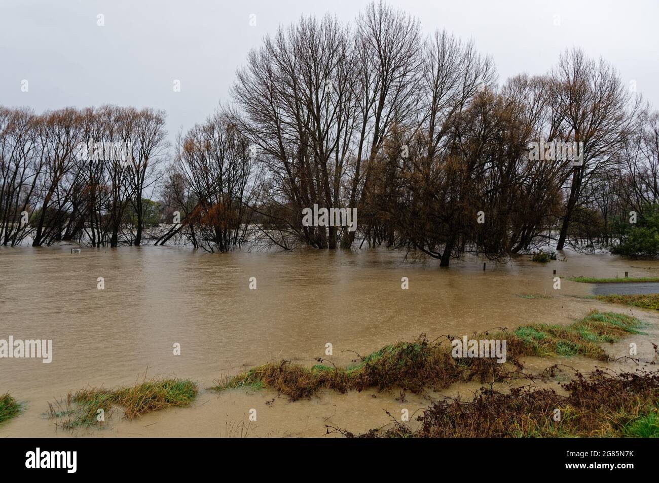 Trees are flooded by a river that has broken its banks Stock Photo - Alamy