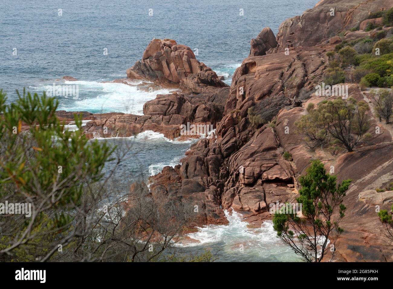 Tasmania coastal landscape at the Waterfall Bay Track, on the east ...