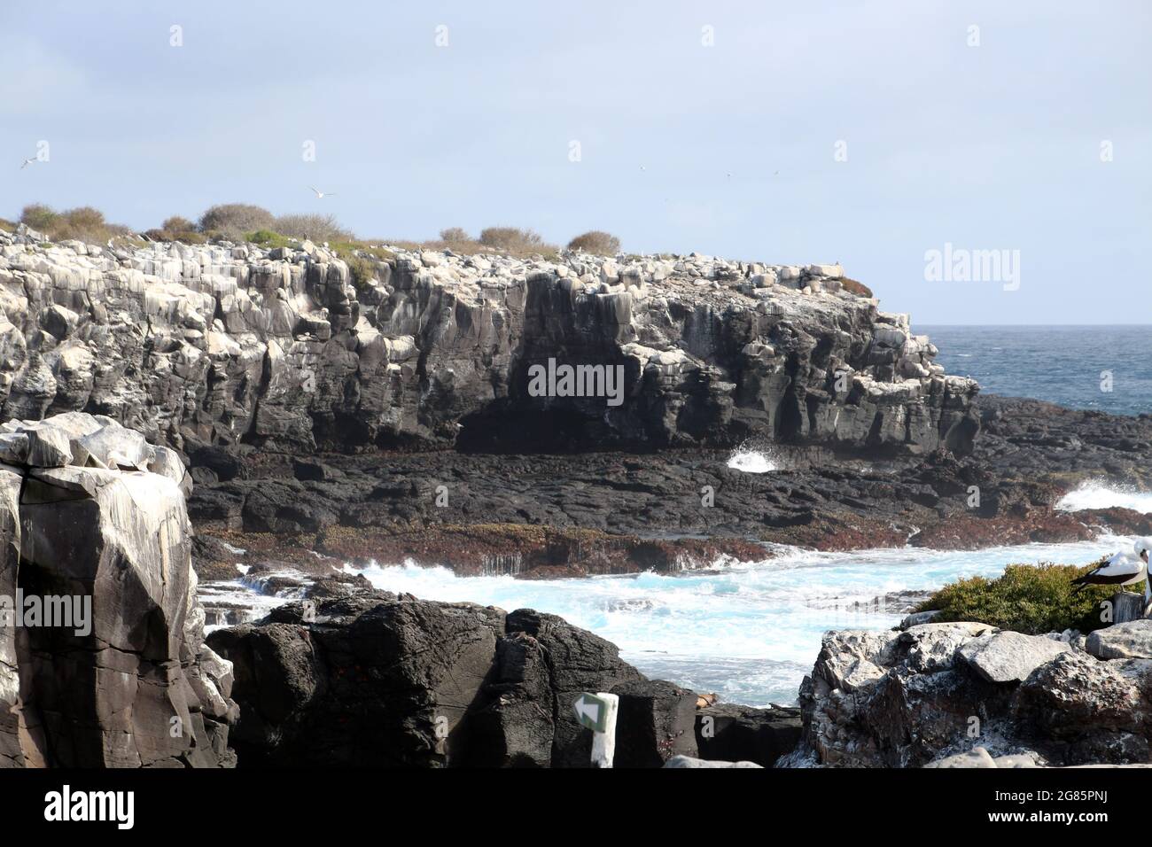 Punta Suarez coast, landscape on the island of Espanola, Galapagos ...