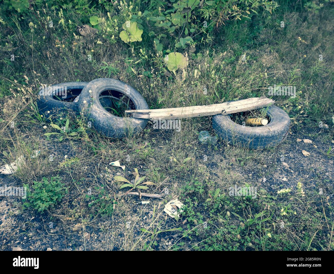 Discarded tires in the forest. Forest pollution Stock Photo - Alamy