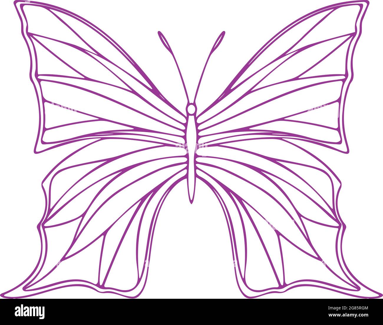 Butterfly vector icon Stock Vector Image & Art - Alamy