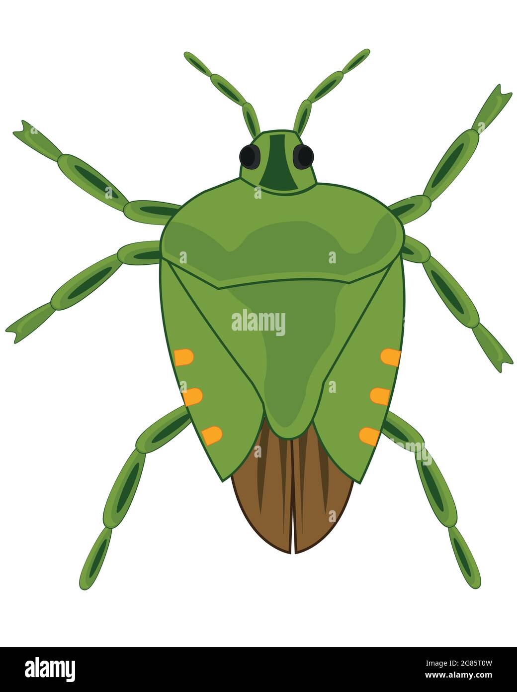 Vector illustration insect bedbug green marble cartoon Stock Vector ...