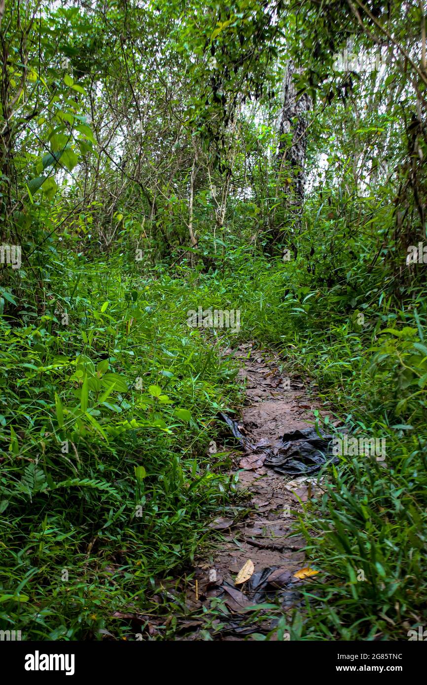 The path to the plantation that can only be passed by two-wheeled ...