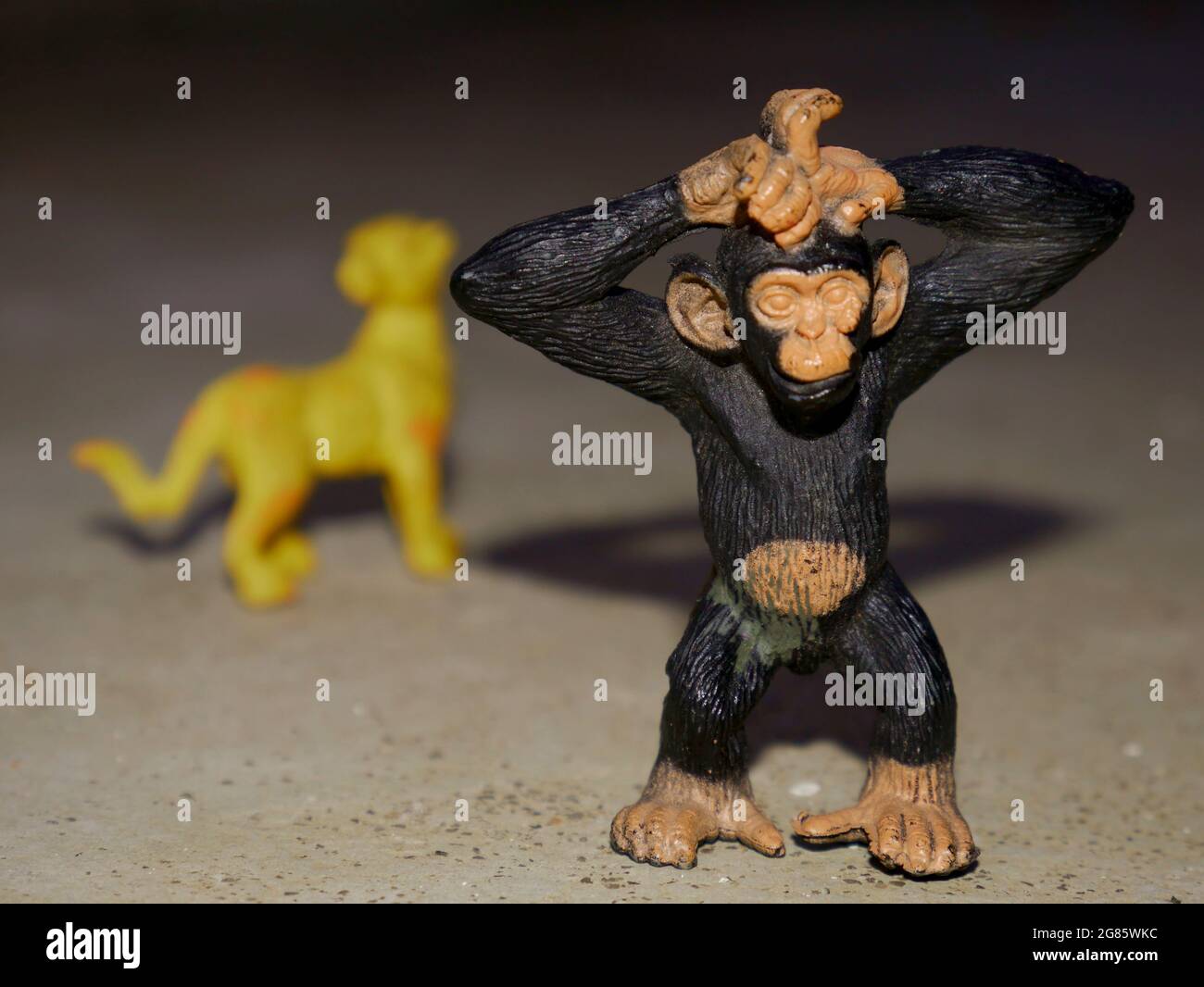 Monkey toy animal stand with thinking pose presentation behind cat ...