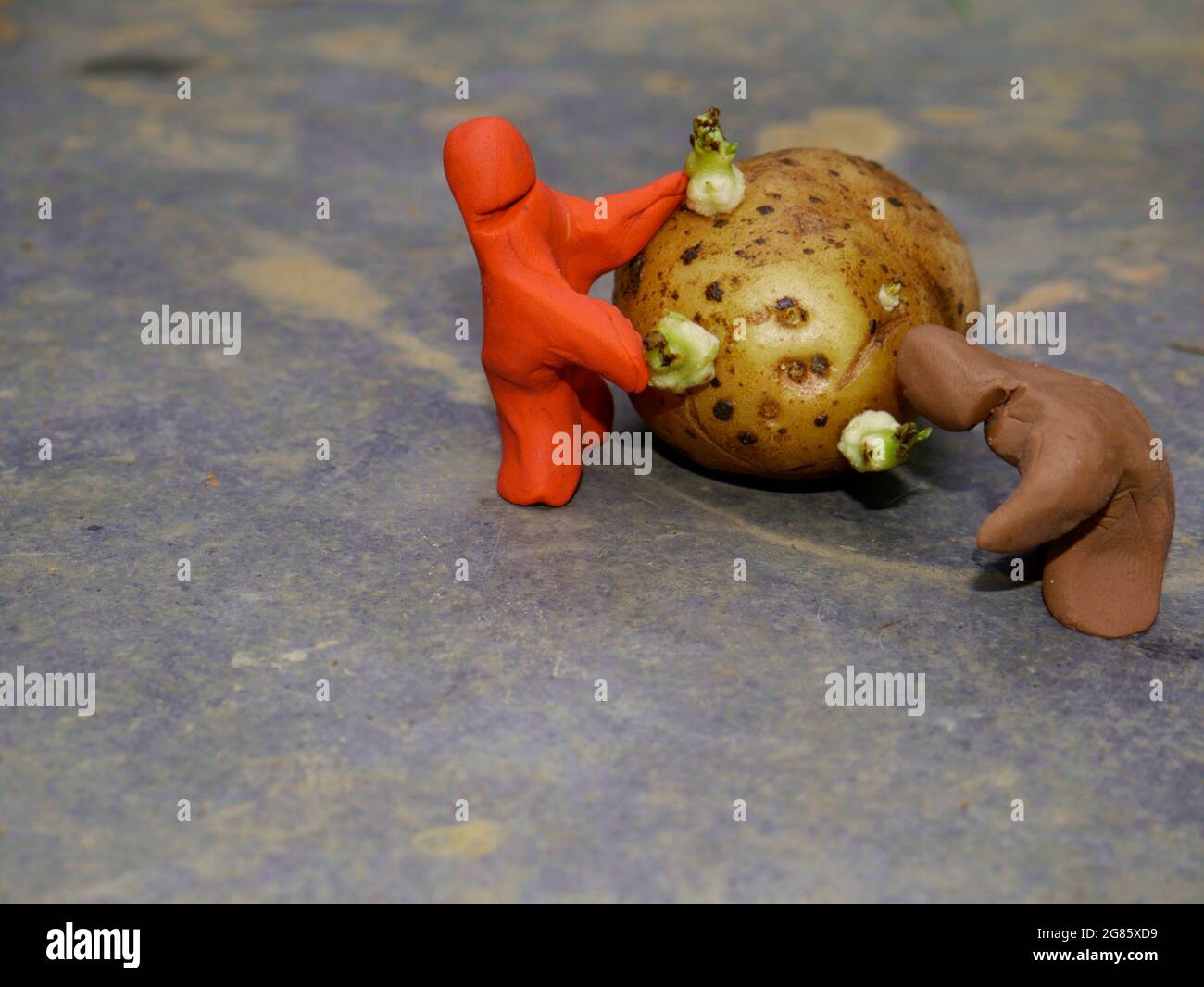 Two clay man art sculpture holding growing potato, Organic food ...