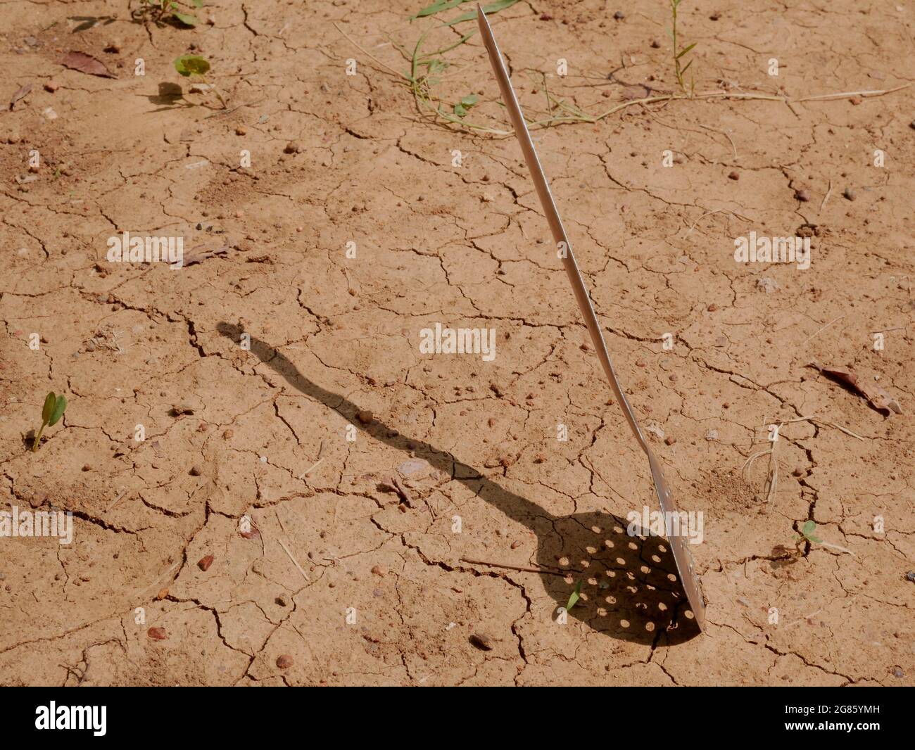 Stainless steel spatula presented on soil field, kitchen cutlery ...