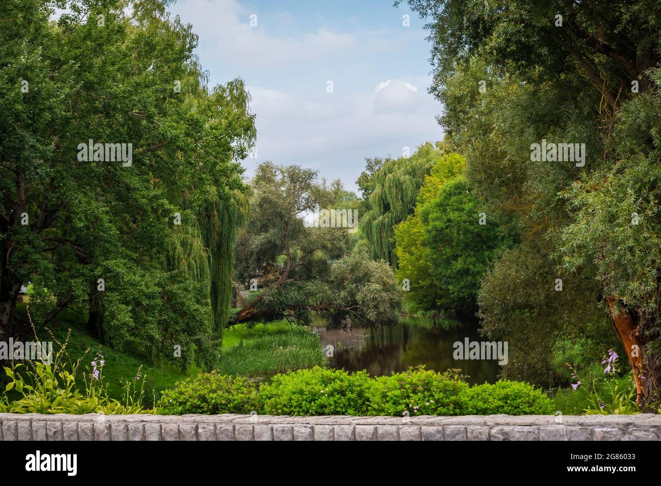 Beautiful trees in place hi-res stock photography and images - Alamy