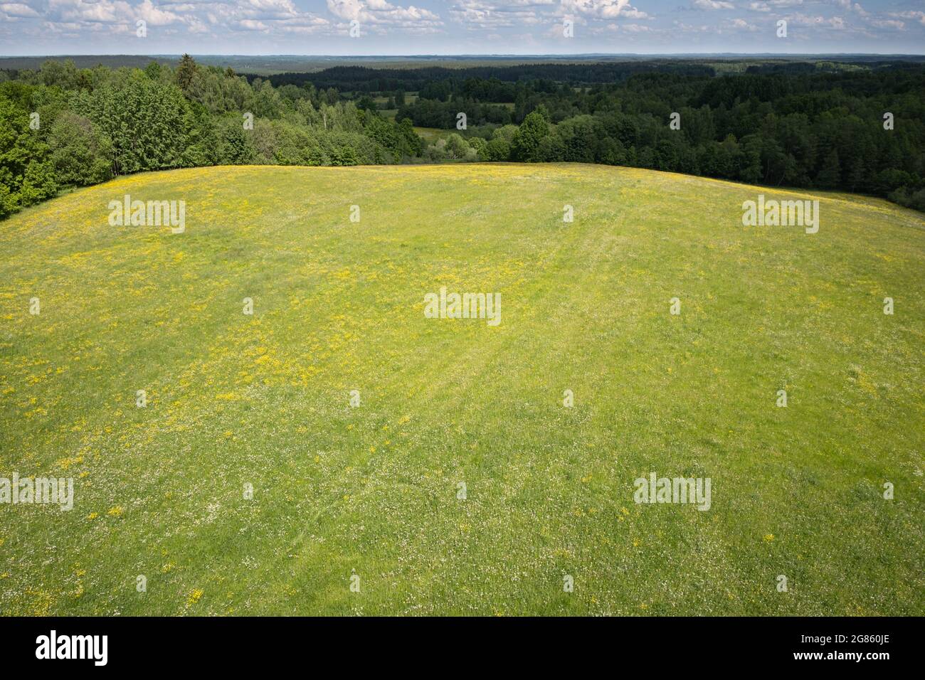 Beautiful meadow view from the top of lookout tower Stock Photo - Alamy