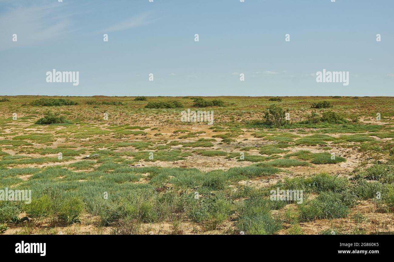 Kalmyk steppe hi-res stock photography and images - Alamy