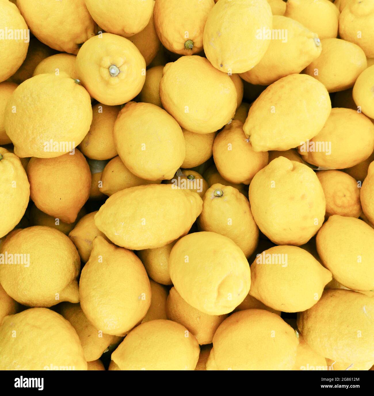 Fresh lemons at a market Stock Photo - Alamy