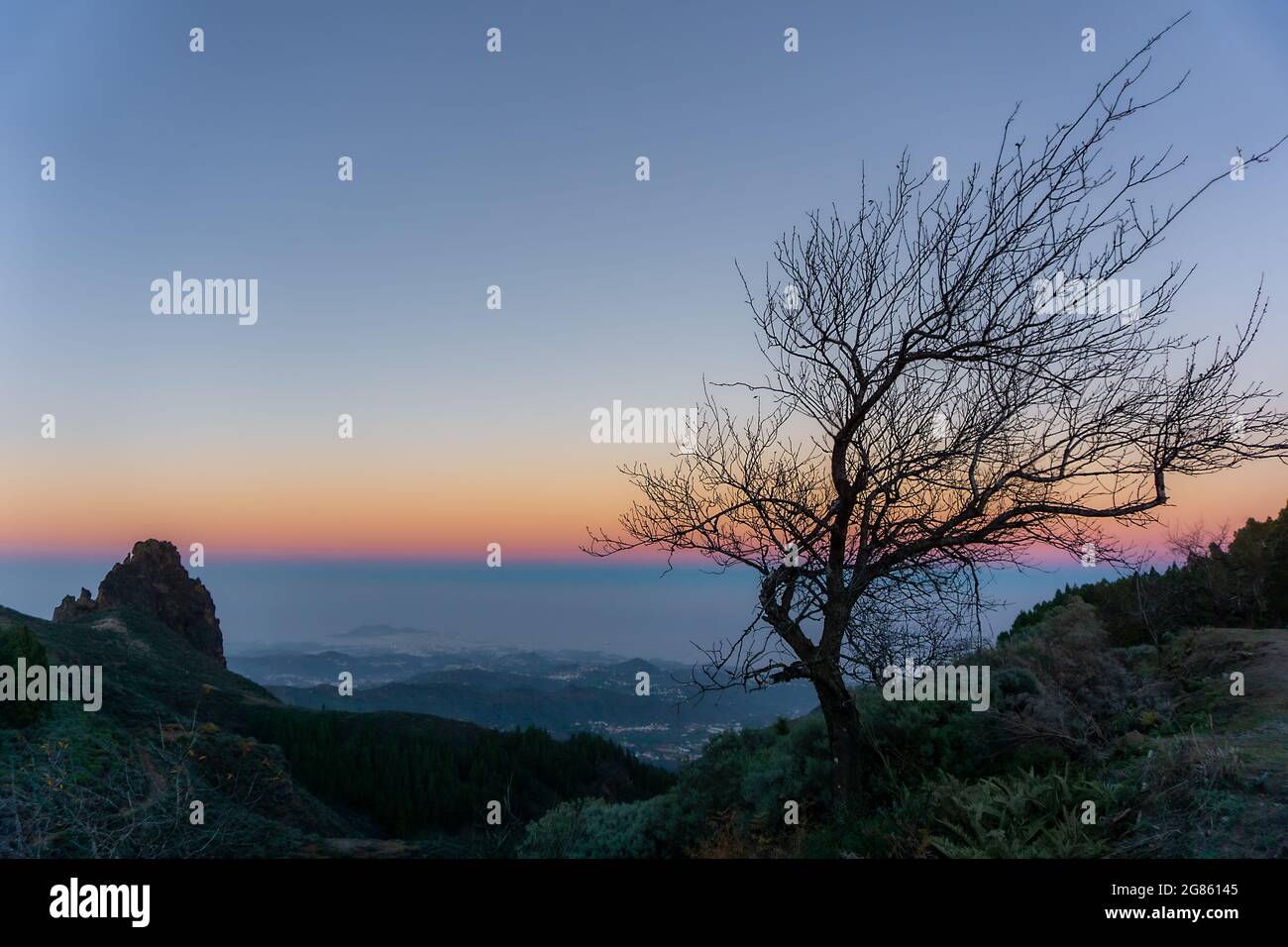 Tree at horizon hi-res stock photography and images - Alamy