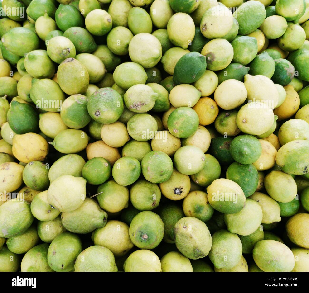 Fresh limes at a market Stock Photo - Alamy