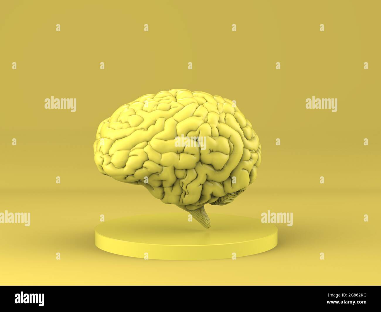 3d rendering yellow human brain on yellow background Stock Photo - Alamy