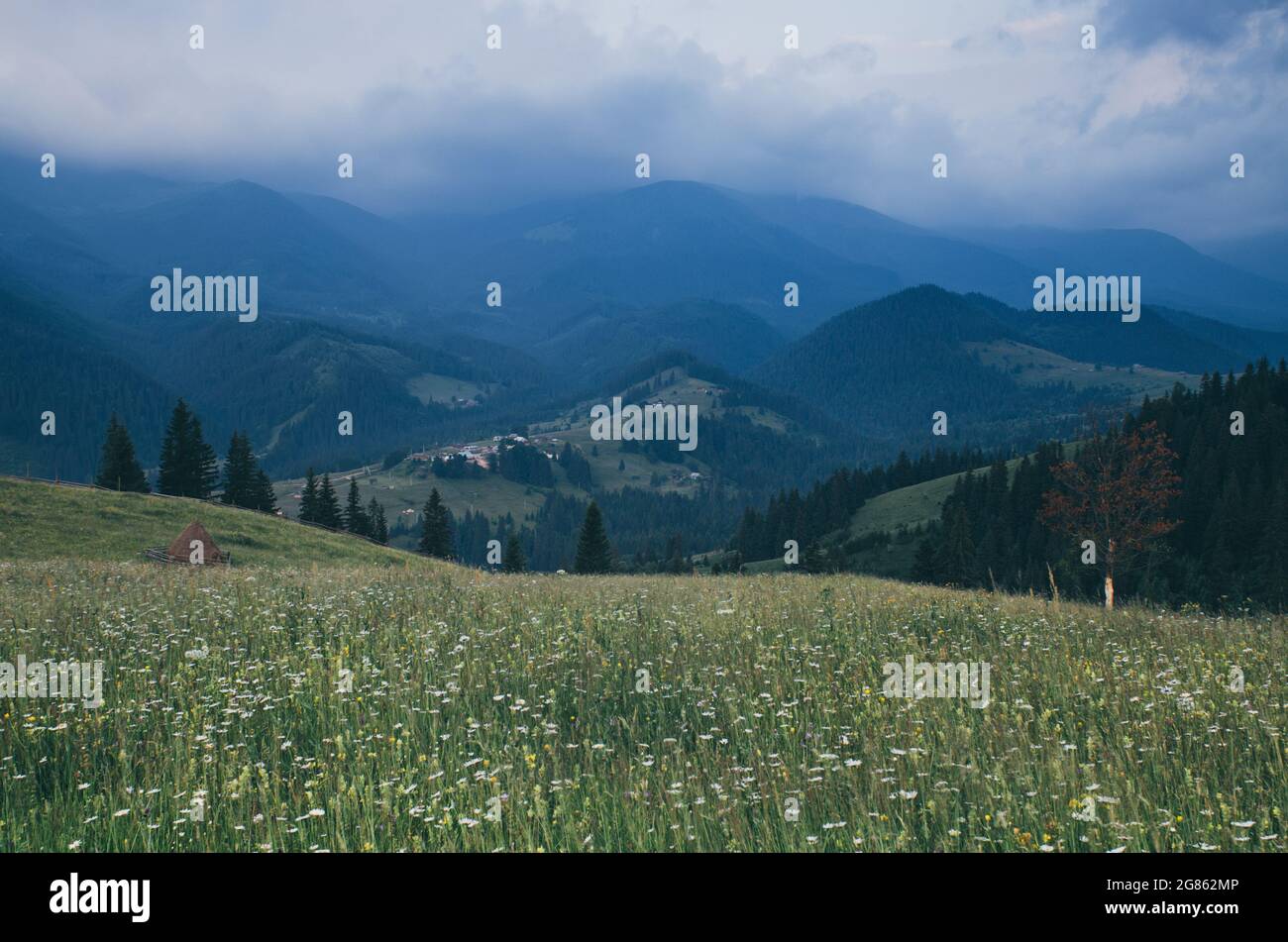 Carpathian mountain landscape Stock Photo - Alamy