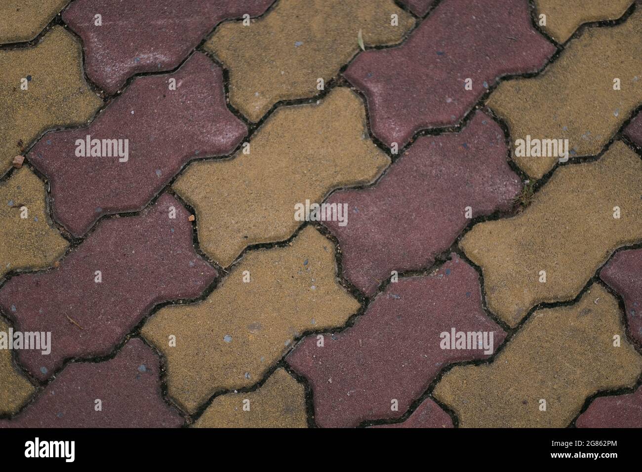 A pedestrian walkway in a public park, tiled with decorative stone ...