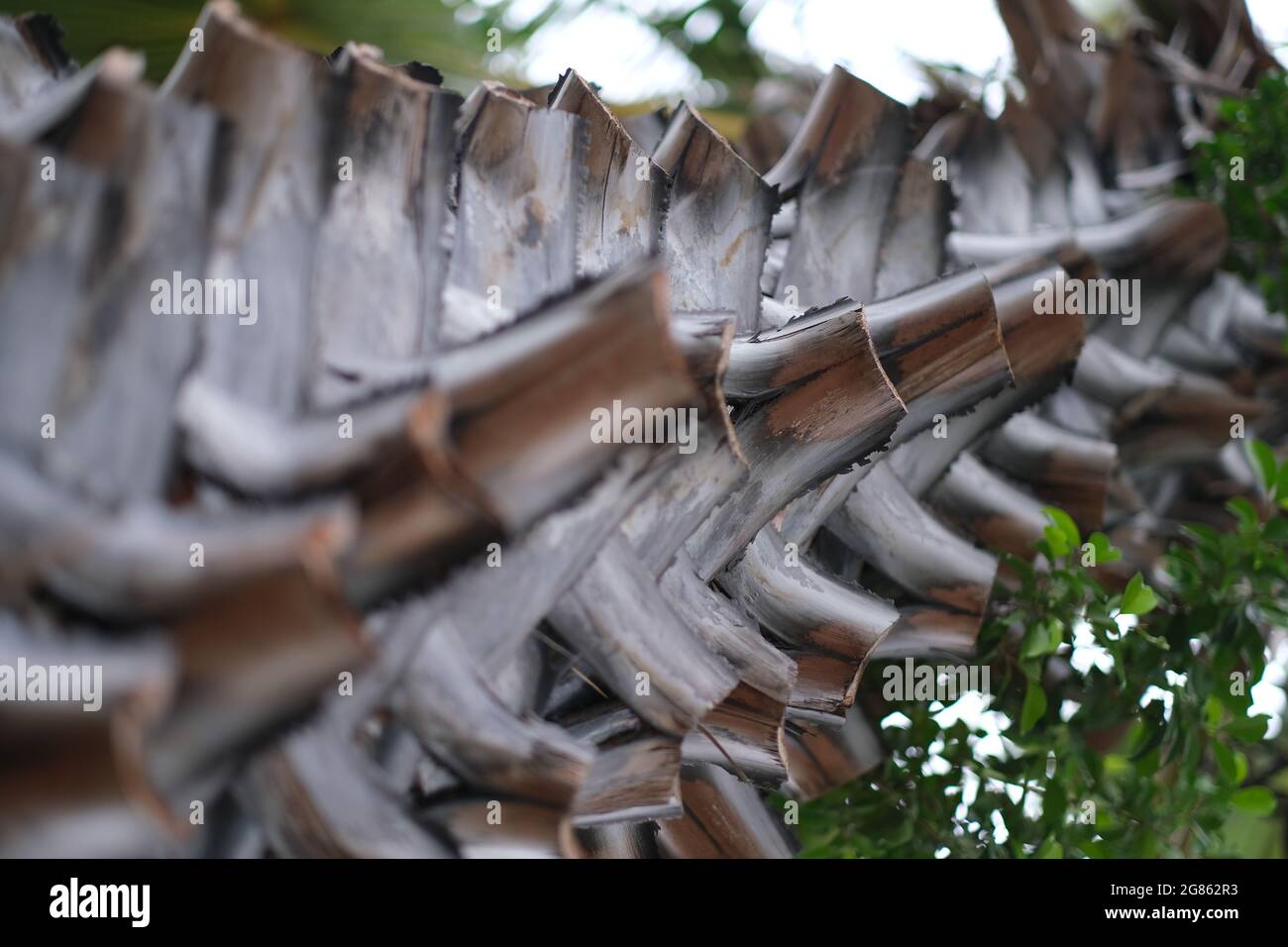 Maintained hi-res stock photography and images - Alamy