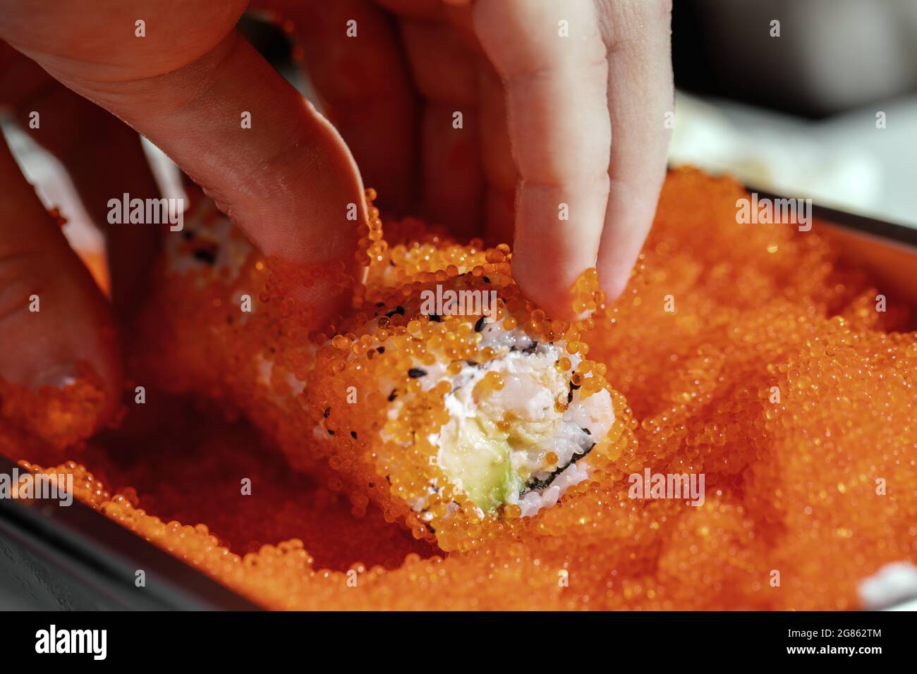 Closeup of chef hands rolling up sushi in flying fish roe (Tobiko) red ...