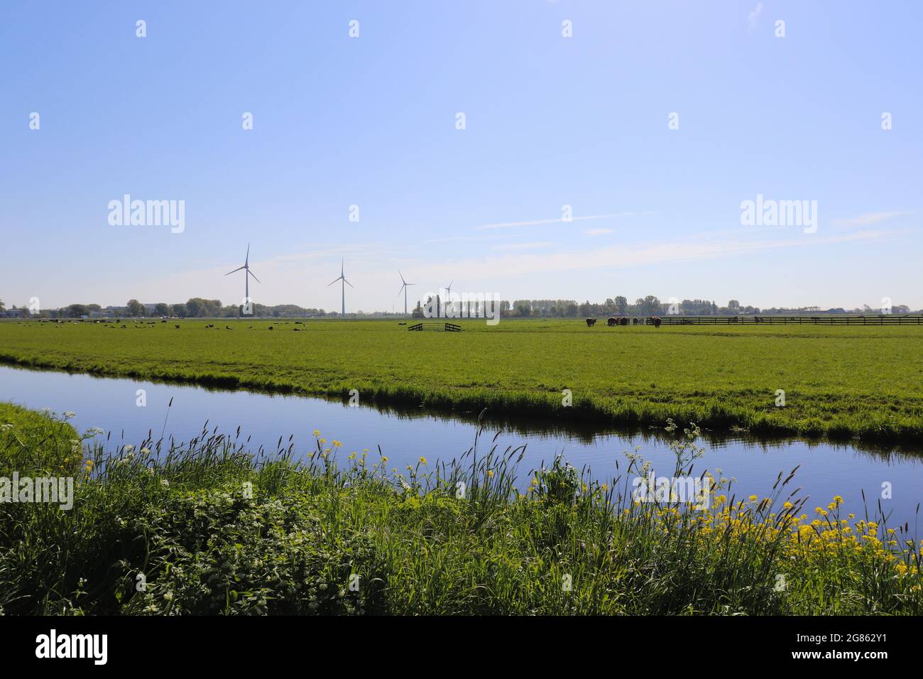 Countryside landscape. Green field with a small river Stock Photo - Alamy