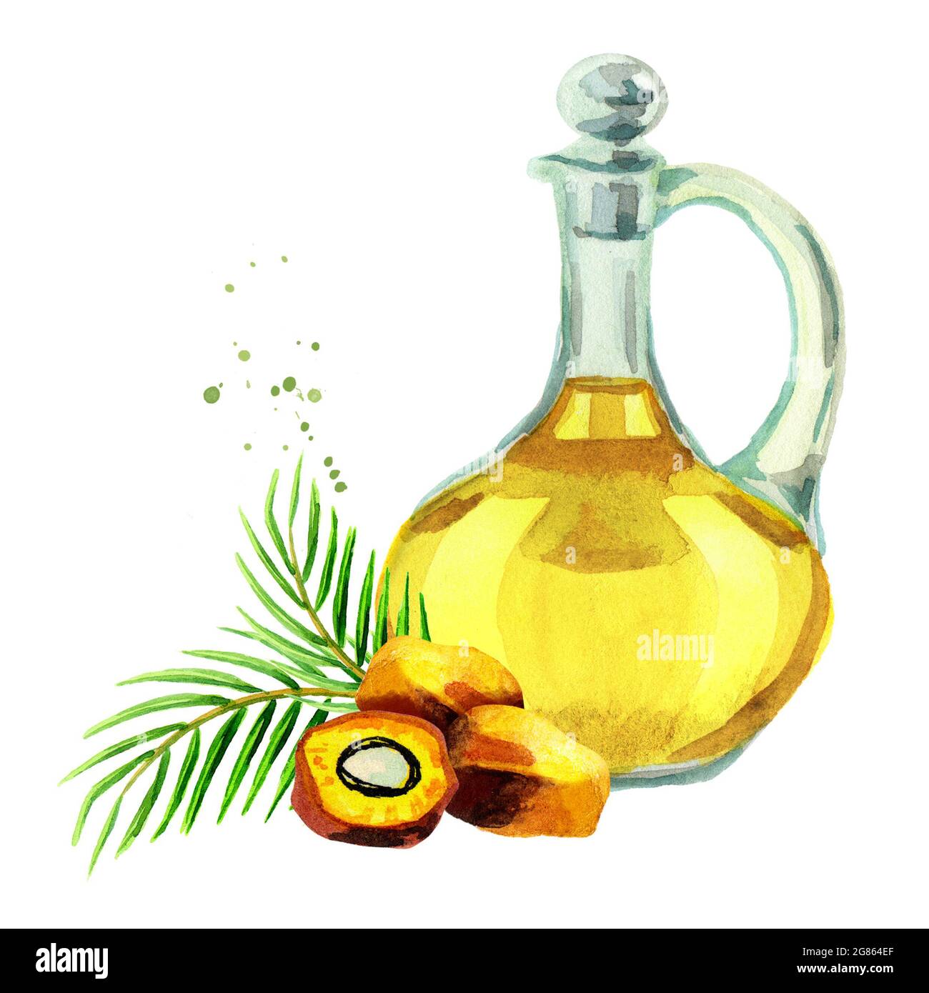 Palm oil. Hand drawn watercolor illustration Stock Photo - Alamy