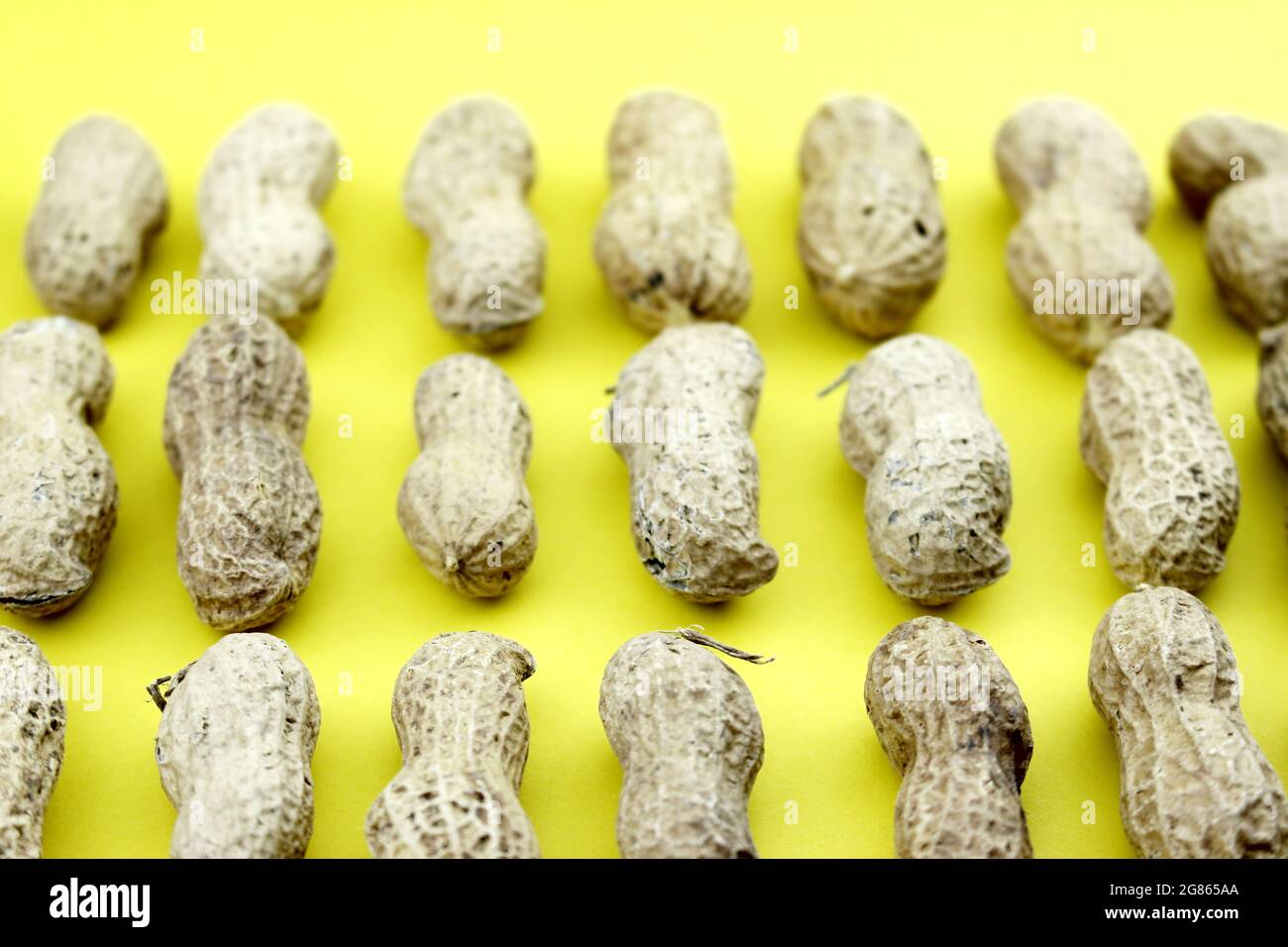 Peanuts Group of Arachis hypogaea on the yellow background Stock Photo ...