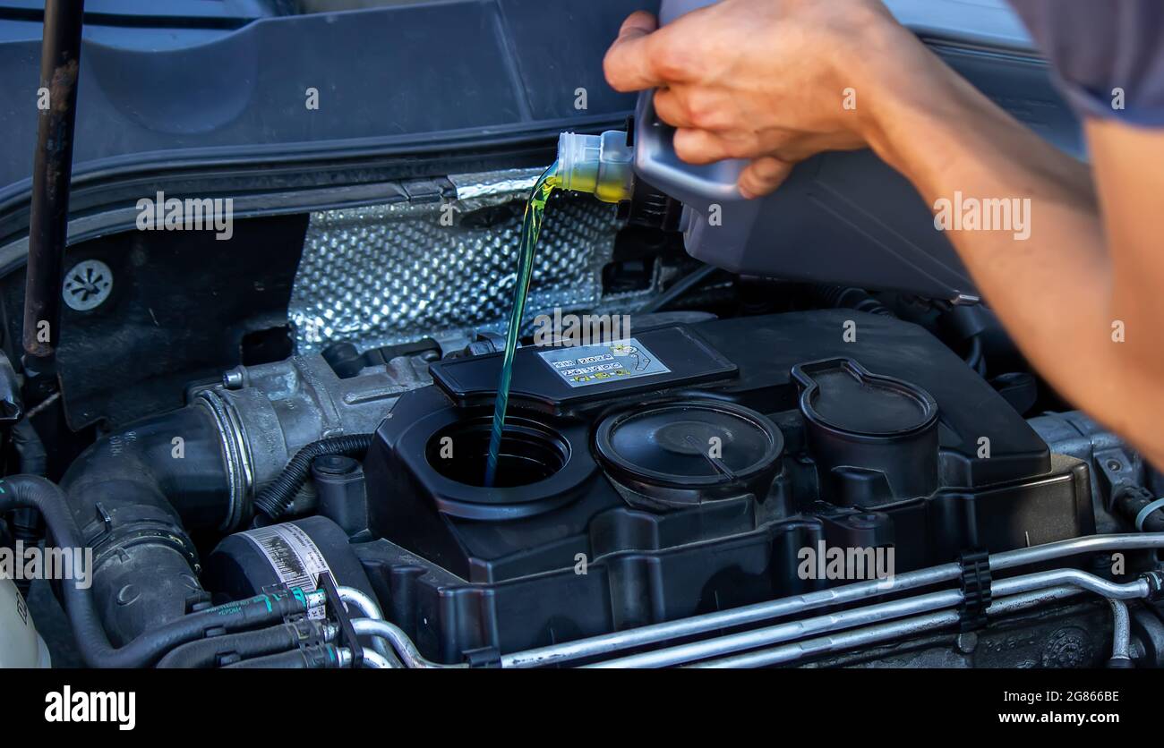 An auto mechanic changing oil pours oil into a car engine. Selective ...