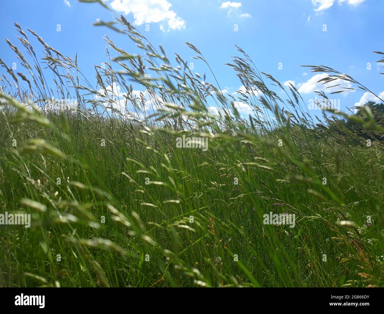 after the rain Stock Photo - Alamy