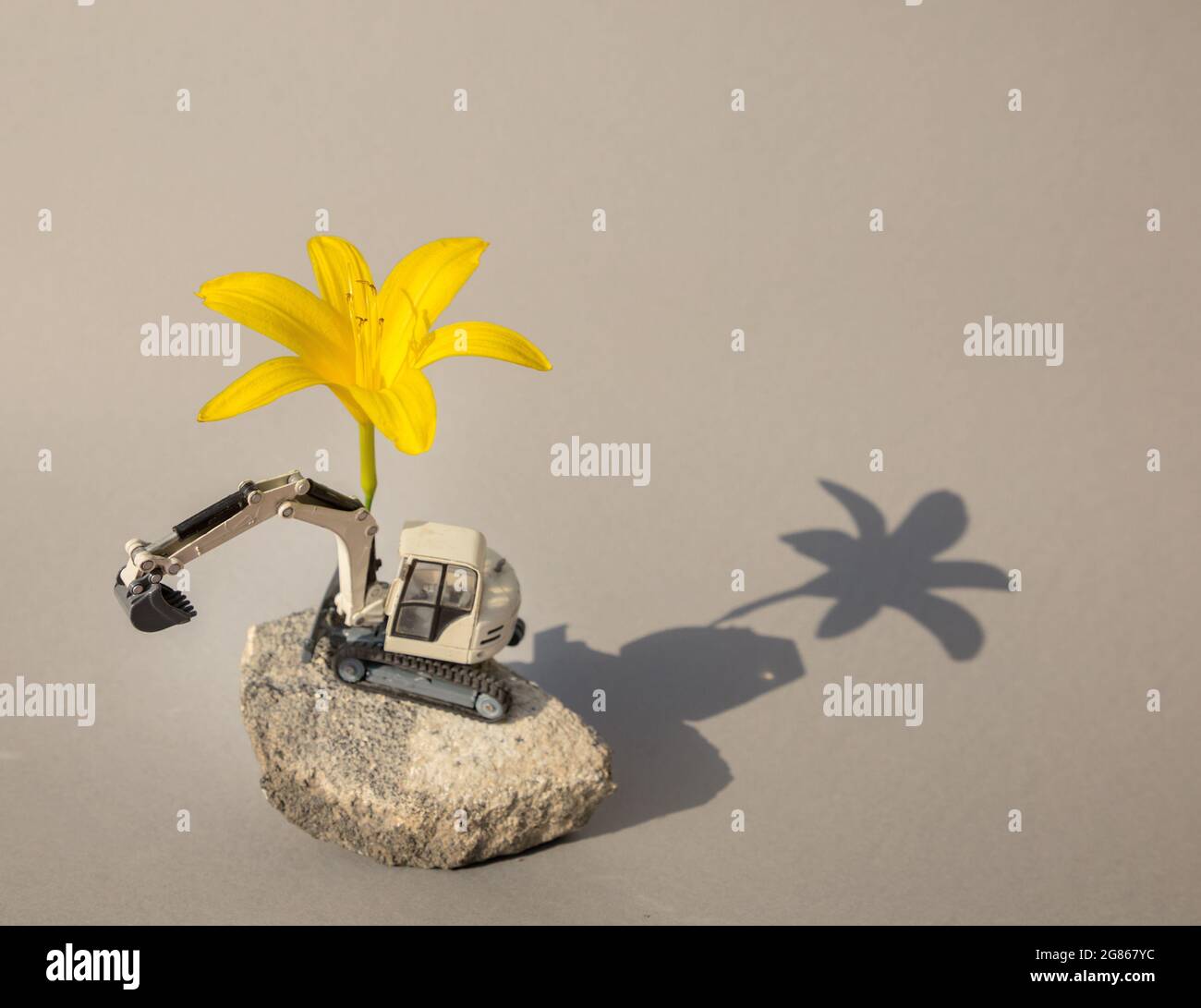 Lily toy hi-res stock photography and images - Alamy