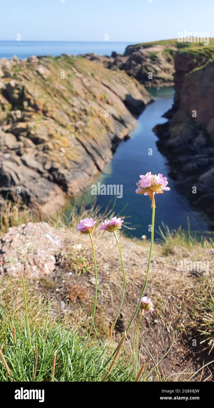 Boddam granite hi-res stock photography and images - Alamy