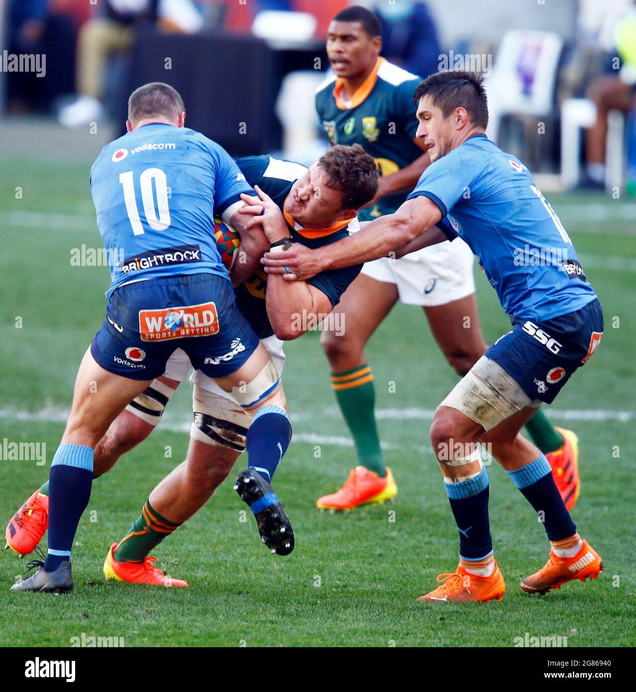 Johan goosen bulls hi-res stock photography and images - Alamy