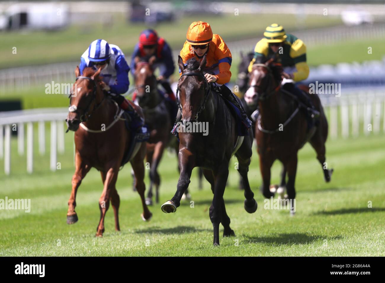 Swift One ridden by Mikey Sheehy wins the Dingle Whiskey Nursery ...