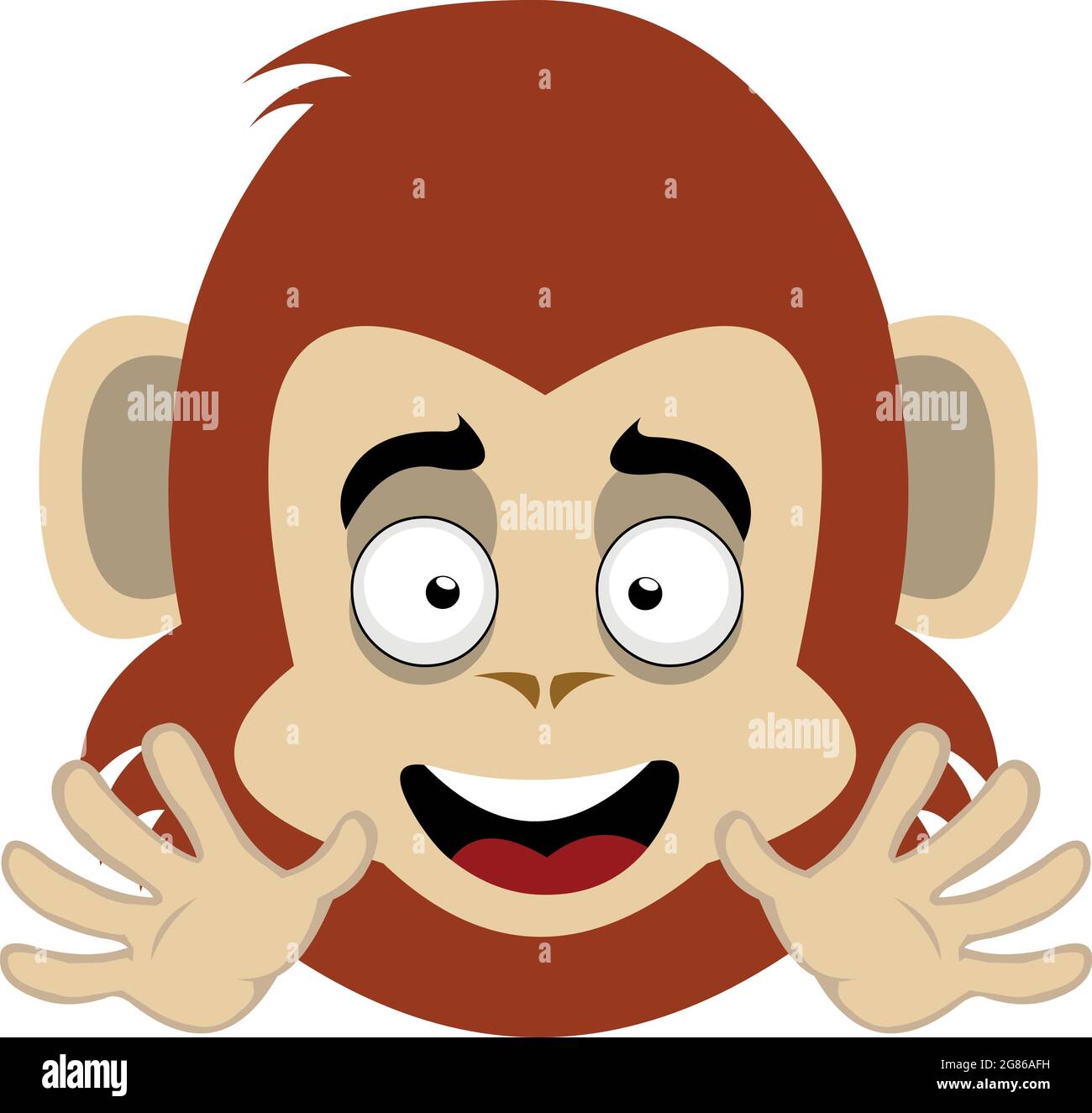 Funny Monkey Cartoon Face