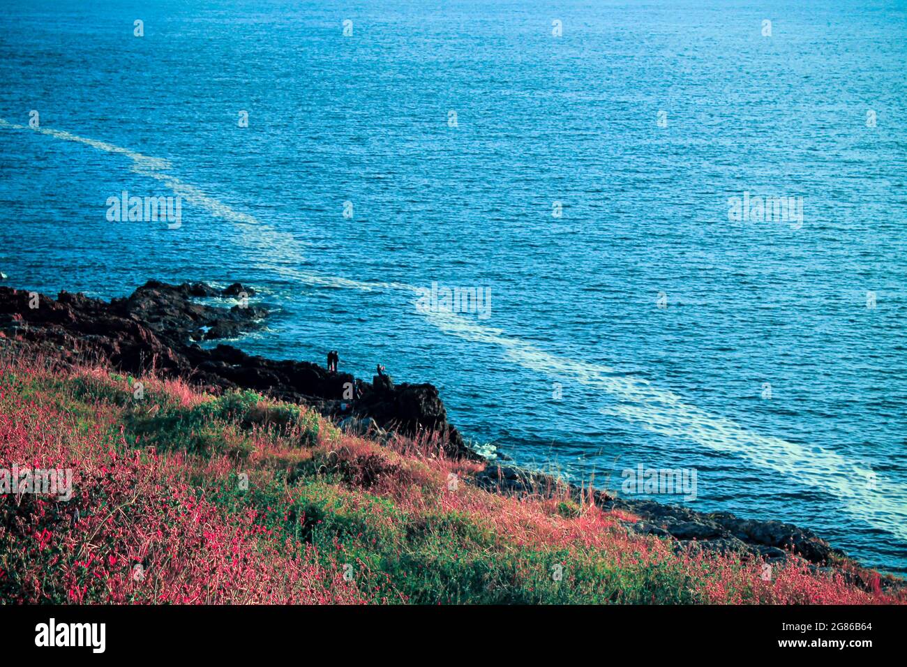Ocean texture, rocks and grass field Stock Photo - Alamy