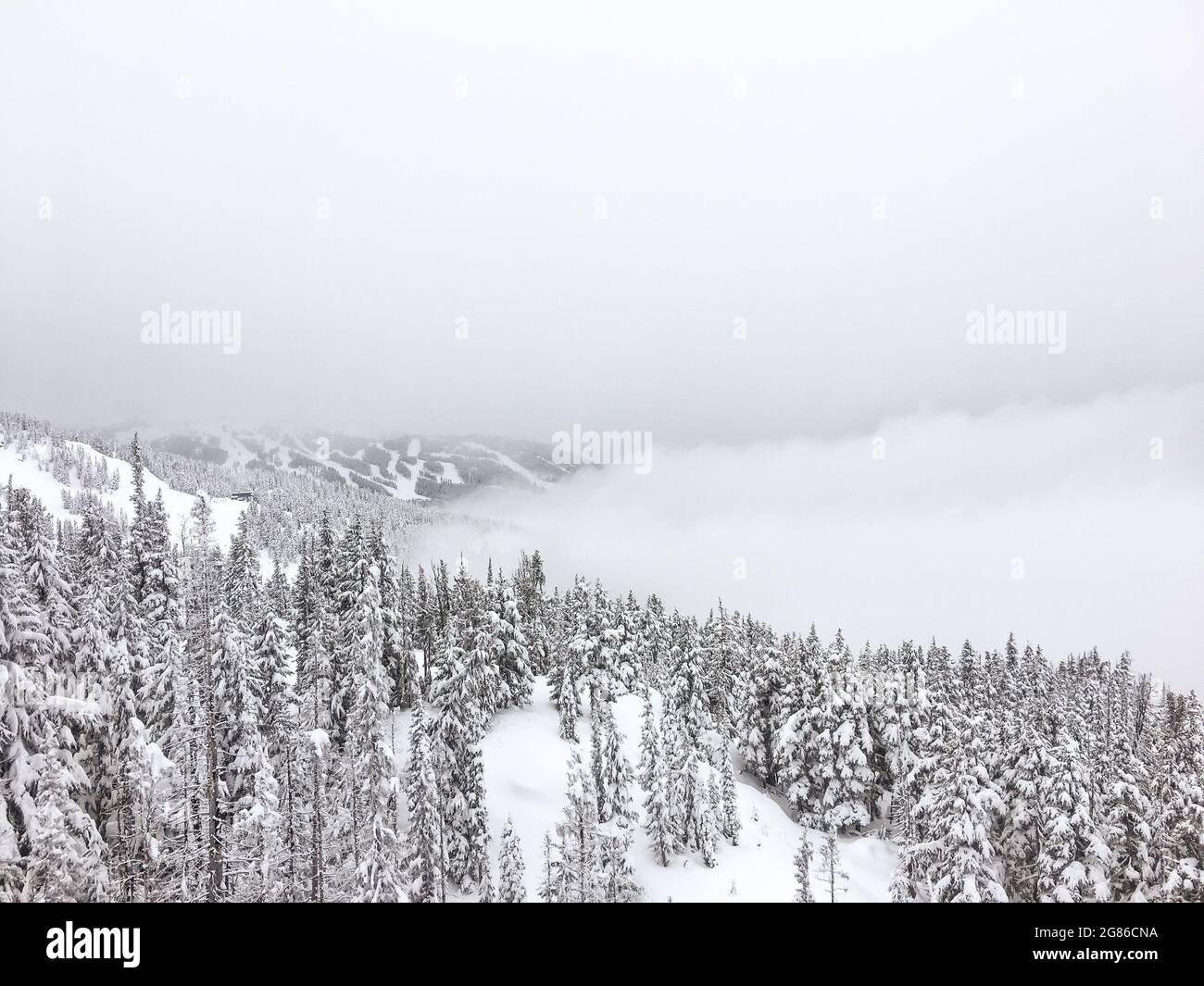 Aerial view of snowy forests and coming thick fog Stock Photo - Alamy